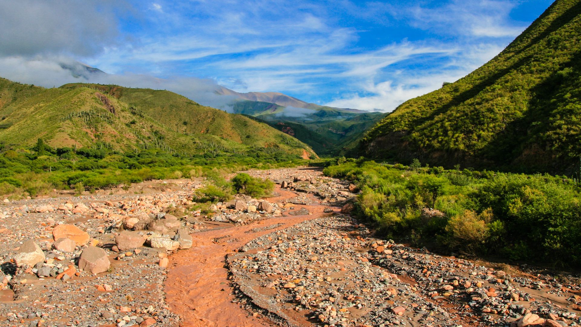 Transform Your Yard with Dry River Beds: A Beautiful and Useful ...